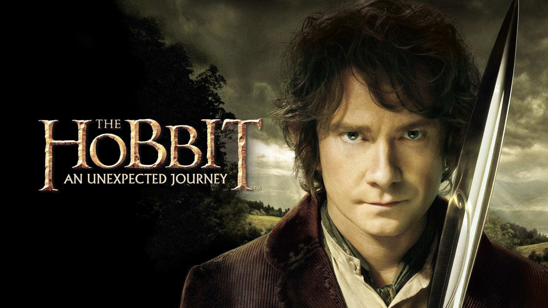The Hobbit: An Unexpected Journey (2012)