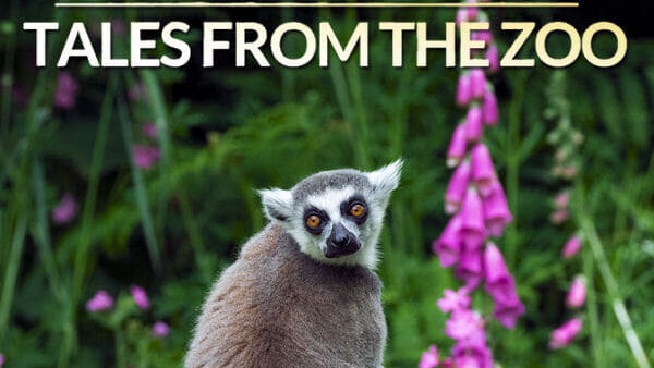Tales from the Zoo: Talking Animals Season 1 Episode 4