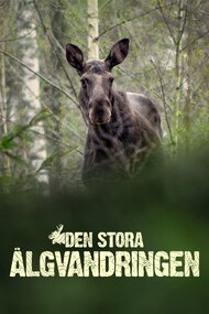 Den stora älgvandringen (TV Series 2019)