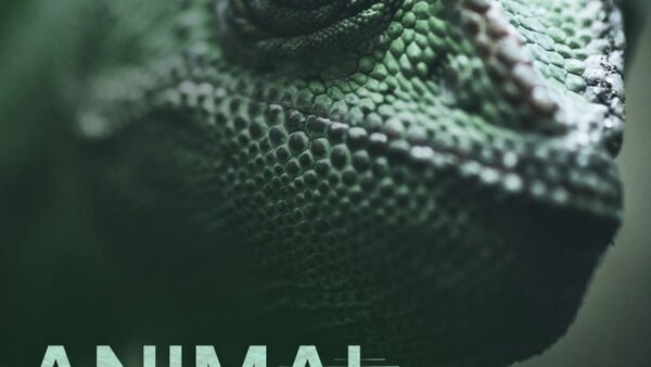 Animal Instincts Season 1 Episode 1