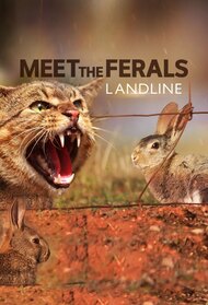 Meet The Ferals (TV Series )