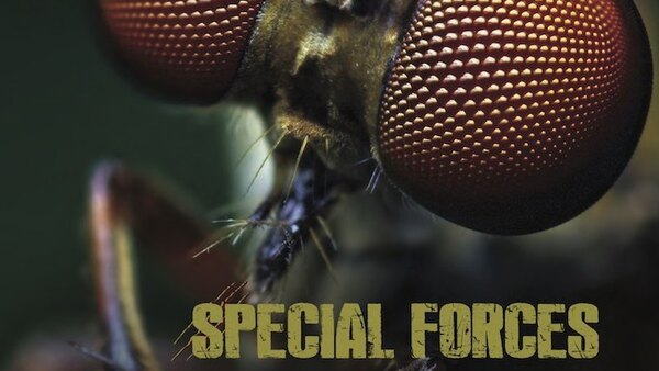 Animal Special Forces Season 1 Episode 1