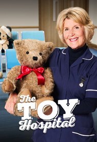 The Toy Hospital (TV Series 2023 - Now)