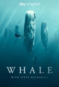 Whale with Steve Backshall (TV Series 2023 - Now)