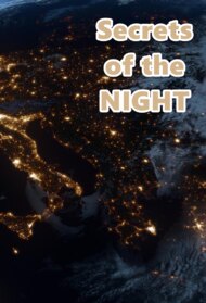 Secrets of the night (TV Series 2020)