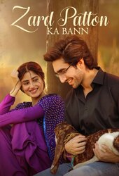 Nadaan (TV Series 2024 - Now)