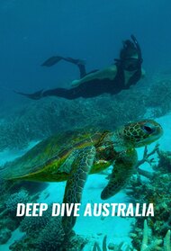 Deep Dive... (TV Series 2024 - Now)