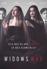 Widows' War (TV Series 2024 - 2025)