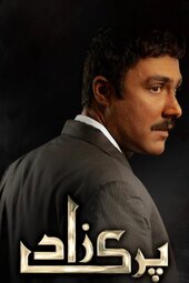 Nadaan (TV Series 2024 - Now)
