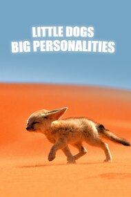 Little Dogs, Big Personalities (2021)