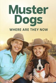 Muster Dogs: Where Are They Now (TV Series 2024 - Now)