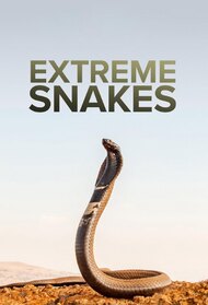 Extreme Snakes (TV Series 2023)