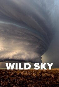 Wild Sky (TV Series 2025 - Now)