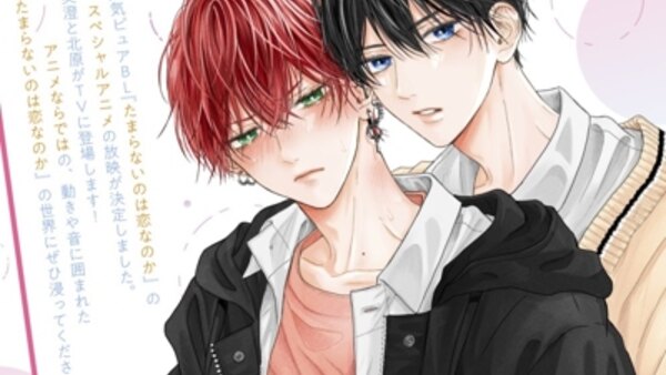 Tamaranai no wa Koi na no ka Episode 1