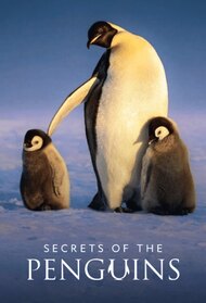 Secrets of the Penguins (TV Series 2025)