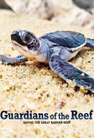 Guardians of the Reef (TV Series 2025)