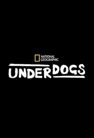 Underdogs episodes (TV Series 2025 - Now)