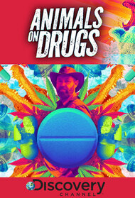 Animals On Drugs (TV Series 2025 - Now)