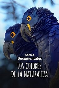 Los colores de la naturaleza
