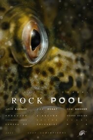 ROCK POOL (2025)