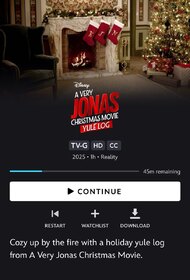A Very Jonas Christmas Movie Yule Log