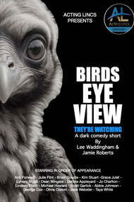 Birds Eye View (2026)