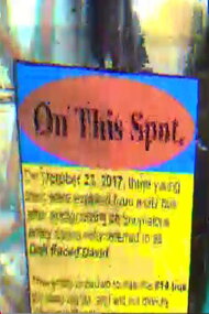 File 338c - Doll Faced David (2026)