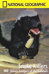 Snake Killers - Honey badgers of the Kalahari (2001)