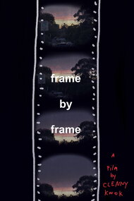 Frame by Frame (2026)