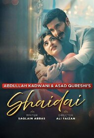 Shaidai (TV Series 2026 - Now)