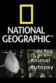 Animal Autopsy (TV Series 2009 - 2010)