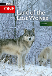 Land of Wolves (2025)