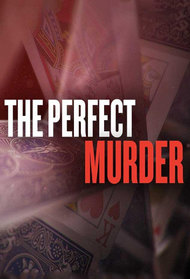 The Perfect Murder (TV Series 2014 - 2018)