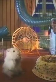Hamster Sam (Anime TV 1998 - 1999)